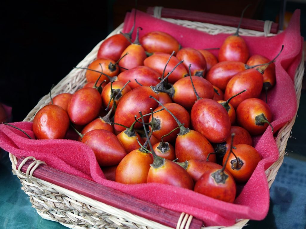 Tamarillos - Kerikeri Organic