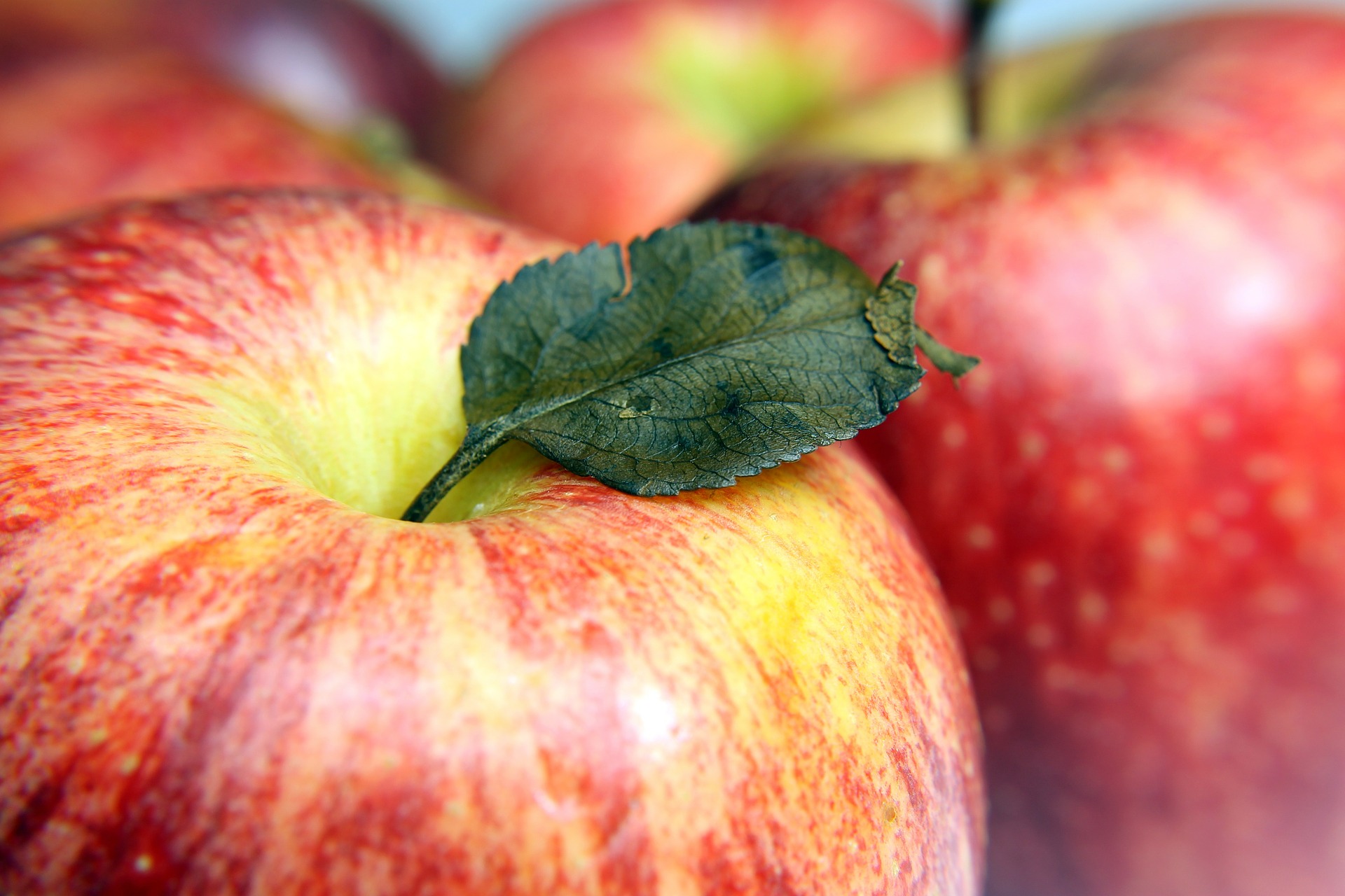 The Humble Apple - Kerikeri Organic