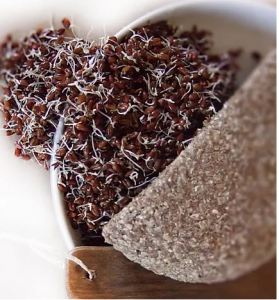 Essene Bread - Kerikeri Organic